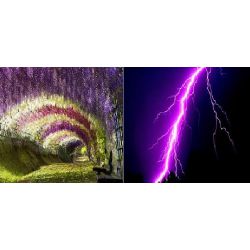 Parts-Of-A-Plant-Anchor-Chart-Parts-Of-A-Plant-Plants-Anchor Stories ...