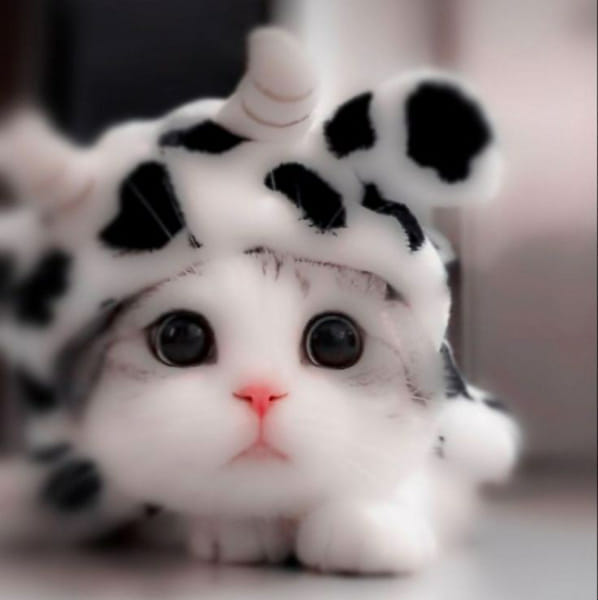 Blue Crystal | Quotev