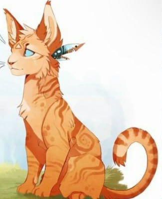 Taking care of Sunfall! (Warriors rp/quiz) - Quiz | Quotev