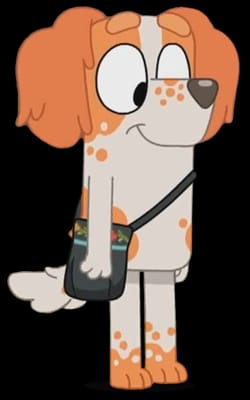 Guess the Bluey Character (72 QUESTIONS!) - Test | Quotev