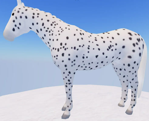 Wild horse islands quiz -SUPER EASY - Test | Quotev