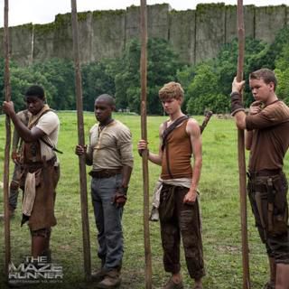 Maze Runner Boyfriend - Quiz | Quotev