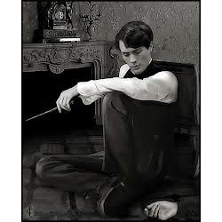 Would Tom Riddle Like You? - Quiz | Quotev