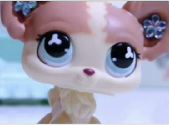 Which LPS are you? - Quiz | Quotev