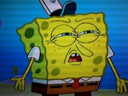 Spongebob Knowledge - Test