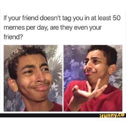 Do you know your memes? - Test | Quotev