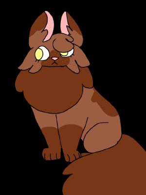 A Very Long Warrior Cats Quiz - Test | Quotev