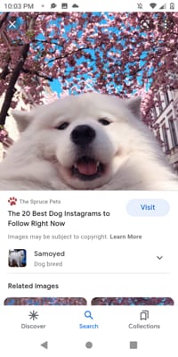 Pick Some Photos And Get A Stranger Things Character - Quiz | Quotev