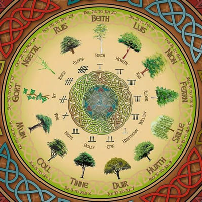 What Celtic Nature Spirit Are You? - Quiz | Quotev