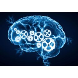 Let's Test Your Anime Knowledge! - Test | Quotev