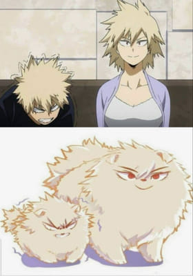 Sleepover w/ The Bakusquad! - Quiz | Quotev