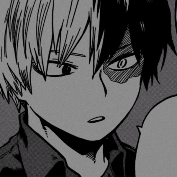Shoto Todoroki | Quotev