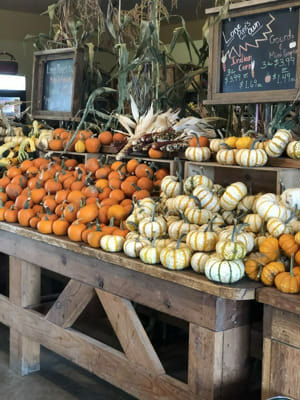 Romanticize your life and get an autumn love story (long results ...