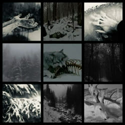 Pick Monochrome Things and Get a Monochrome Aesthetic - Quiz | Quotev