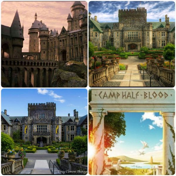 Which fictional school would accept you? - Quiz | Quotev