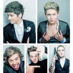 Who's Your One Direction Love Match? - Quiz | Quotev