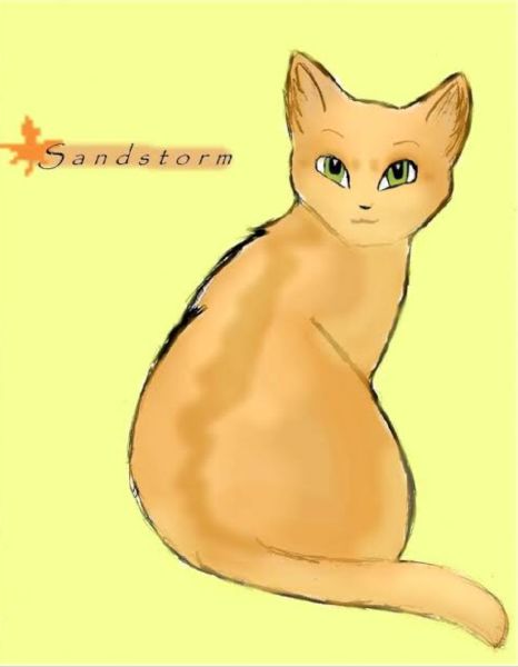 How Well Do You Know Sandstorm - Test | Quotev