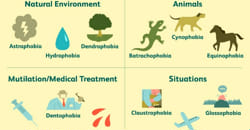 Do You Have These Phobias Survey Quotev