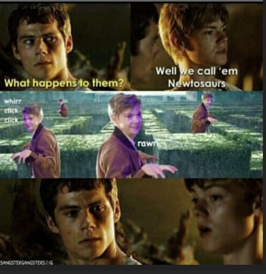 Let’s get to know you so you can see your maze runner boyfriend (LONG ...