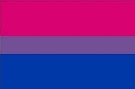 Can you Guess the LGBTQ+ Flag? - Test | Quotev