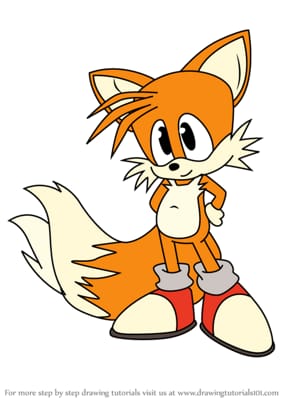 How Much Do You Know About Tails? - Quiz | Quotev