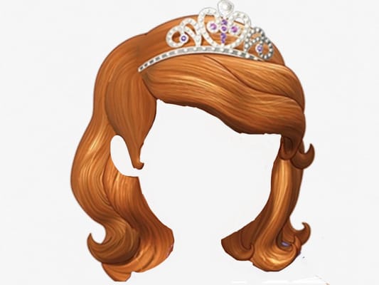 guess the Sofia the first character by their hair - Test