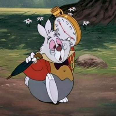 Your white rabbit fest outfit (Twisted wonderland) - Quiz | Quotev