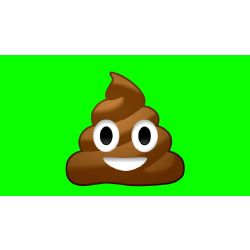 what type of fart are you - Quiz | Quotev