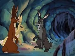 Which Watership Down character are you? - Quiz | Quotev