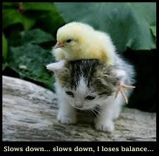 The Cute Test - Quiz | Quotev