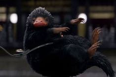 Can you name these Magical Beasts? - Test | Quotev