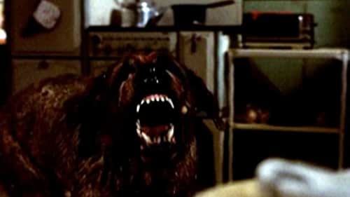 How well do you know Cujo? - Test | Quotev
