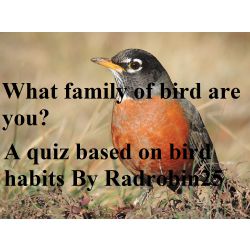 What bird are you- a quiz based on bird habits - Quiz | Quotev
