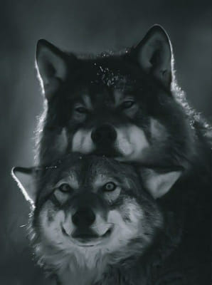 Are you Alpha, Beta or Omega ? - Quiz | Quotev