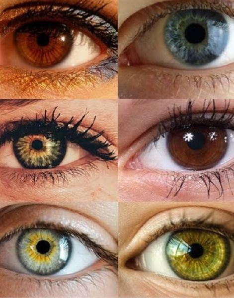 I can guess your eye color - Quiz | Quotev