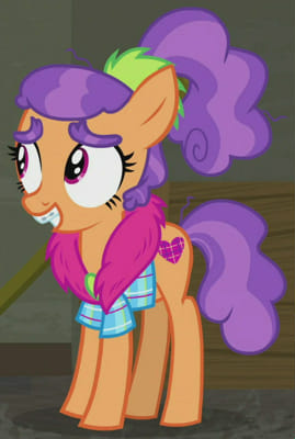 VP’s “My Little Pony: Friendship is Magic” Quiz - Test | Quotev