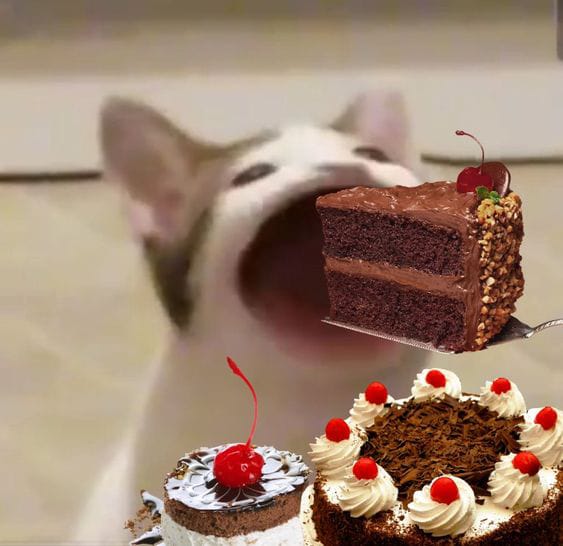 Published | Aria | Quotev