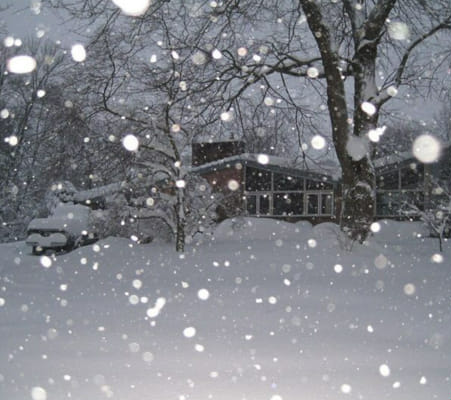 Are You More Like Augustine Or Winnie? - Cold Front - Quiz | Quotev