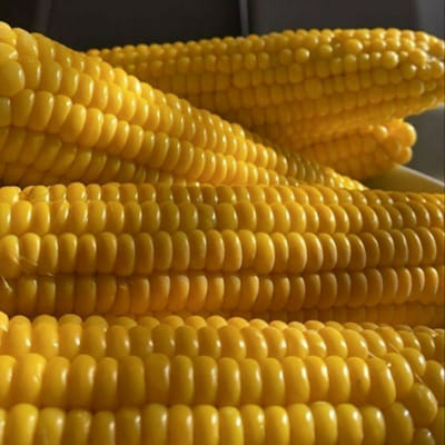 𝙜𝙧𝙤𝙘𝙚𝙧𝙮 𝙨𝙝𝙤𝙥𝙥𝙞𝙣𝙜? - Quiz | Quotev