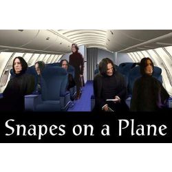 Snapes On A Plane Meme