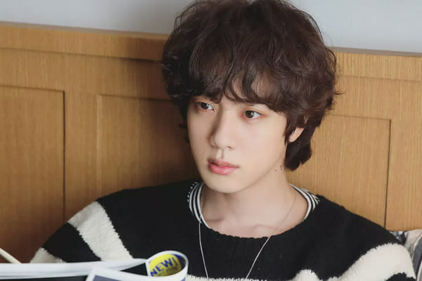 Are you Jin’s ideal type? - Quiz | Quotev