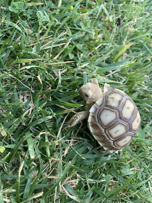 What Is Your Soulmate's Initial? - Quiz | Quotev