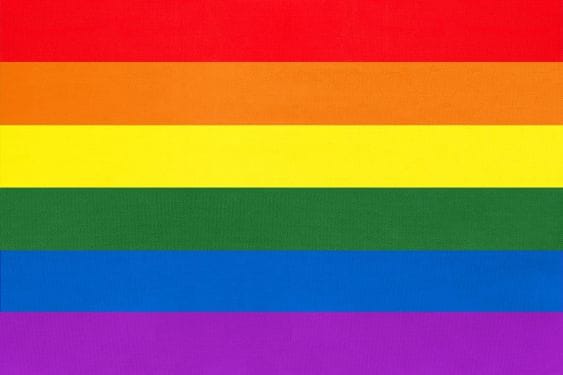 Guess the LGBT flag! - Test | Quotev