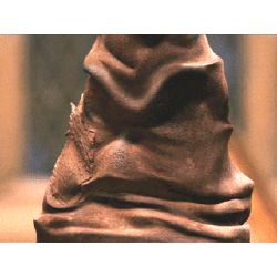 The ultimate sorting hat quiz - Quiz | Quotev
