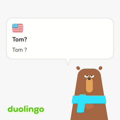 Pick some unhinged Duolingo sentences and get a dream SMP member - Quiz ...