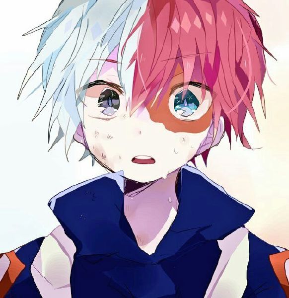 Zero Todoroki | Quotev