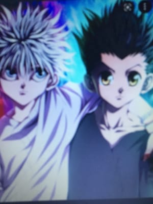 Hunter x hunter ships what’s your favorite ship - Quiz | Quotev