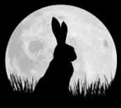 Which Watership Down character are you? - Quiz | Quotev