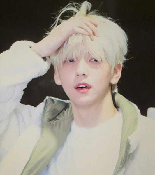 Published | ミント | Quotev