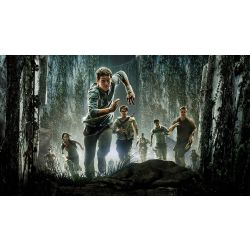 Your Maze Runner Life - Quiz | Quotev